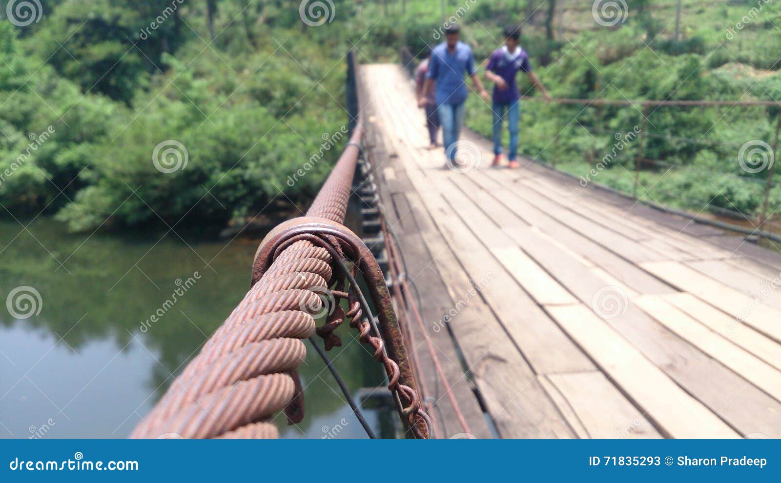 String Bridge stock image. Image of kerala, bridge, india - 71835293