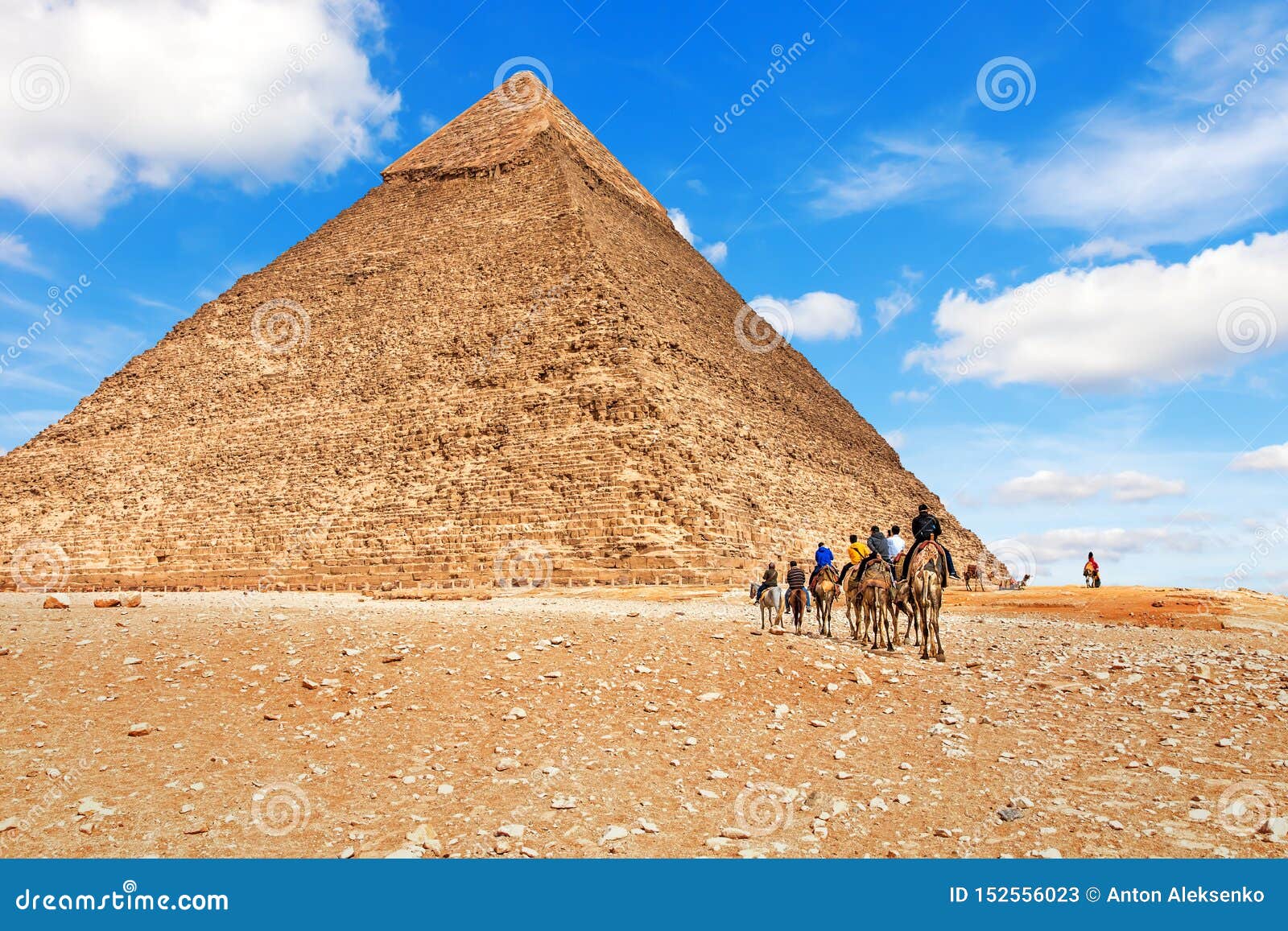 String of Camels Near the Pyramid of Chephren, Egypt Stock Image ...