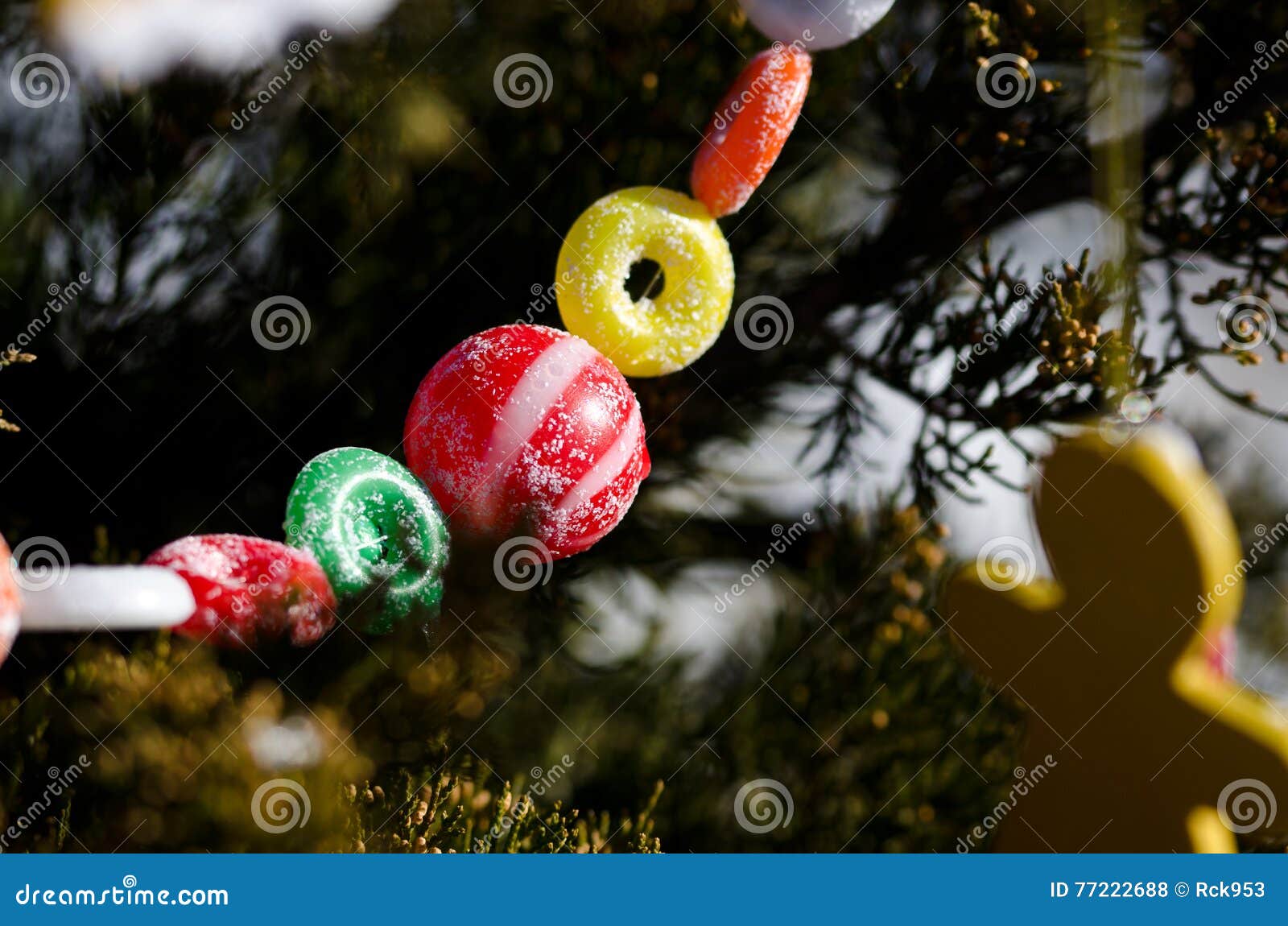 String of Candy Decorating an Outdoor Christmas Tree Stock Photo ...