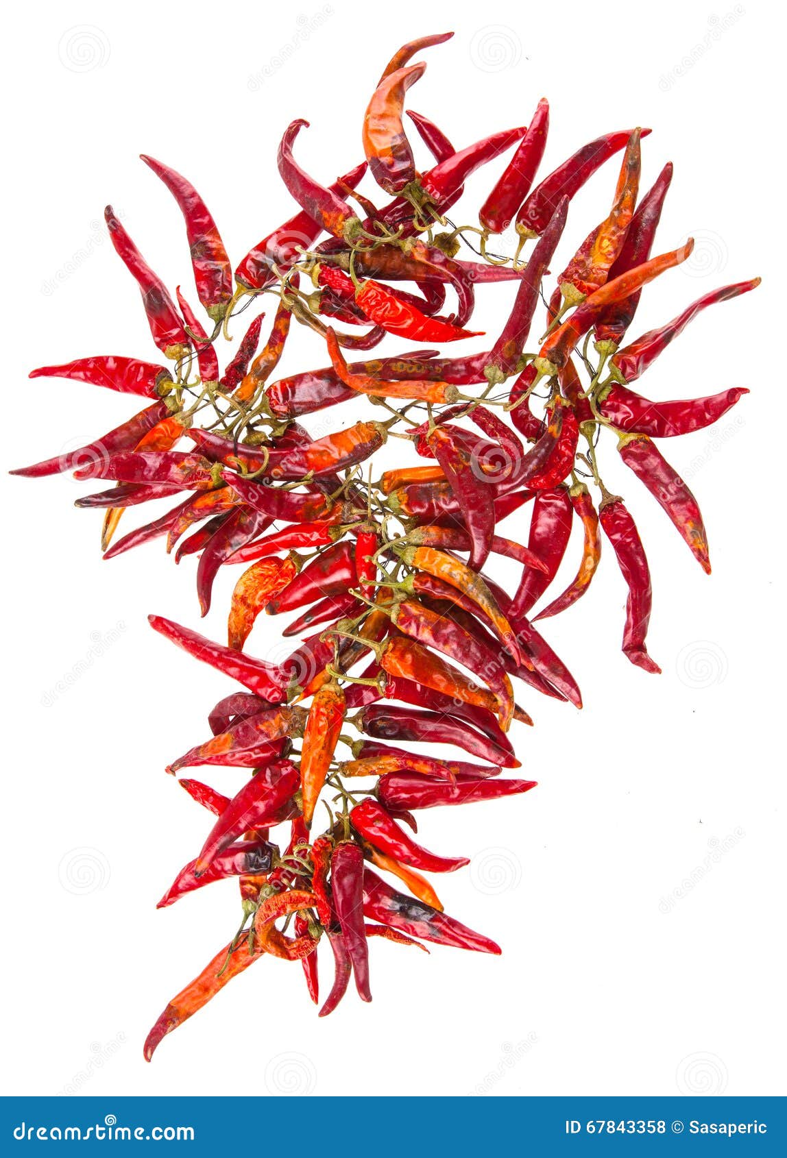 String with Dry Hot Peppers Isolated Stock Photo - Image of closeup ...