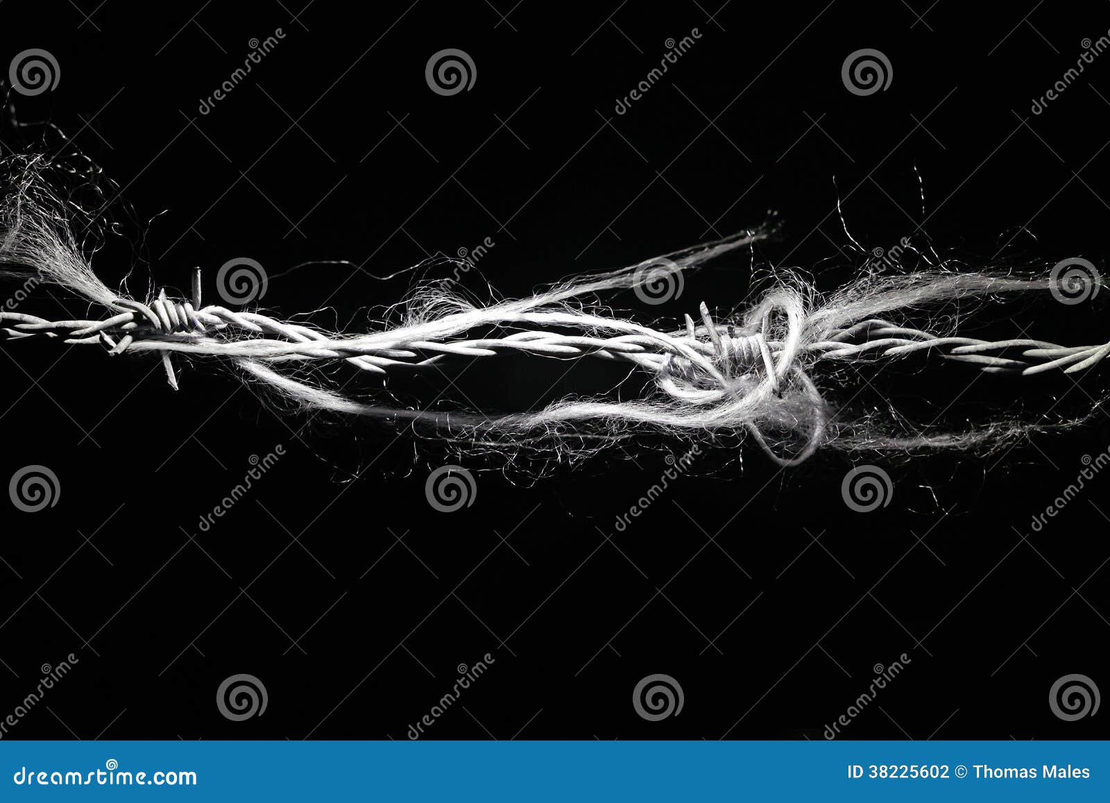 String Entangled in Barbwire Macro Stock Photo - Image of camp ...