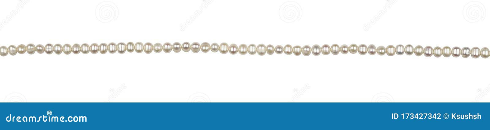 String of Freshwater Pearls Stock Photo - Image of elegance, female ...