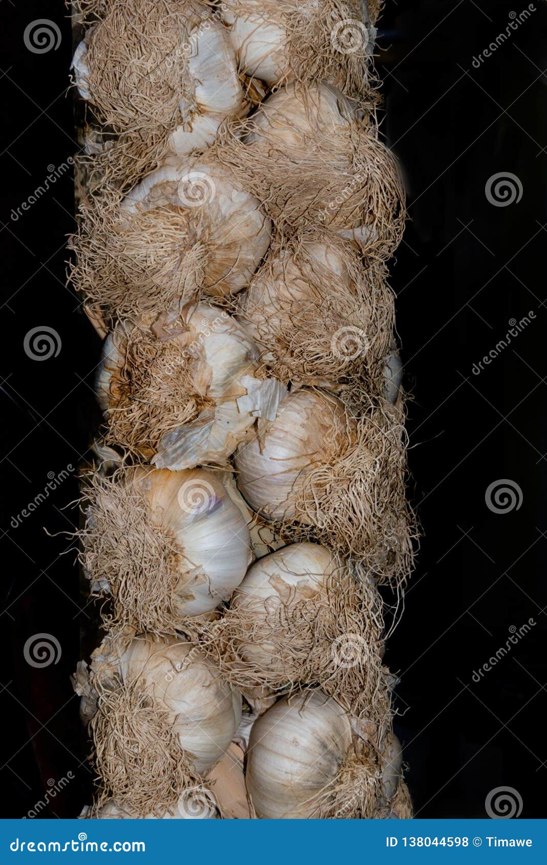 String of Garlic stock photo. Image of black, europe - 138044598