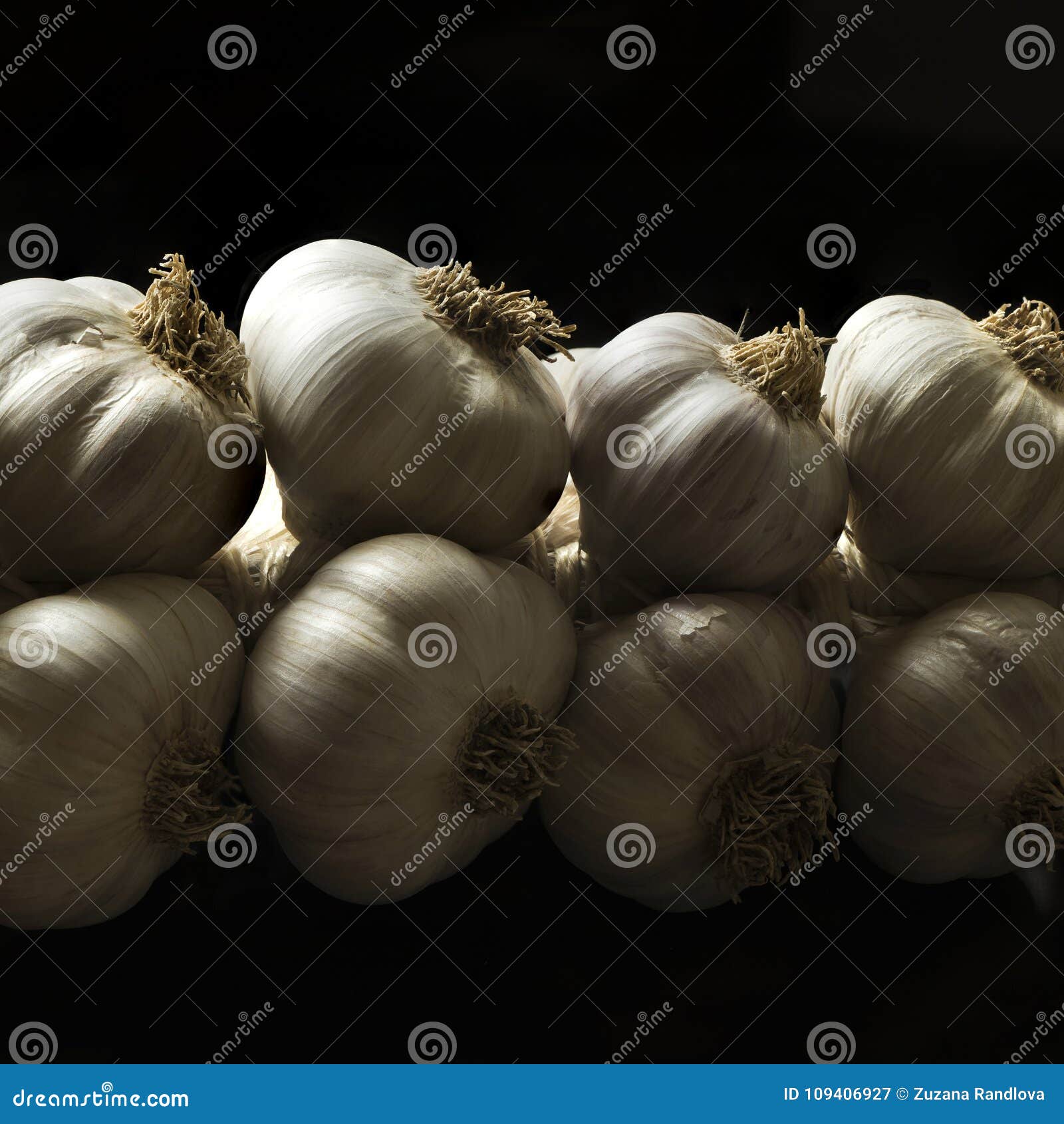 A string of garlic stock image. Image of brown, head - 109406927
