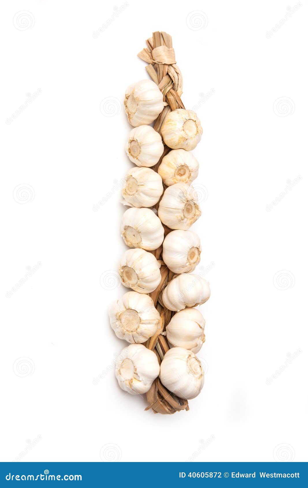String of Garlic bulbs stock photo. Image of allium, delicious - 40605872