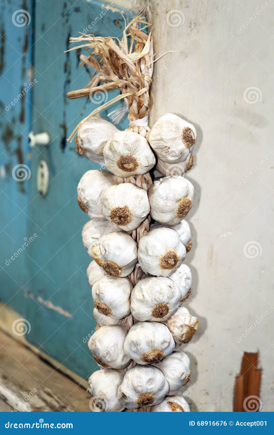 String of Garlic Bulbs Hanging in Hungarian Rural Kitchen Stock Photo ...