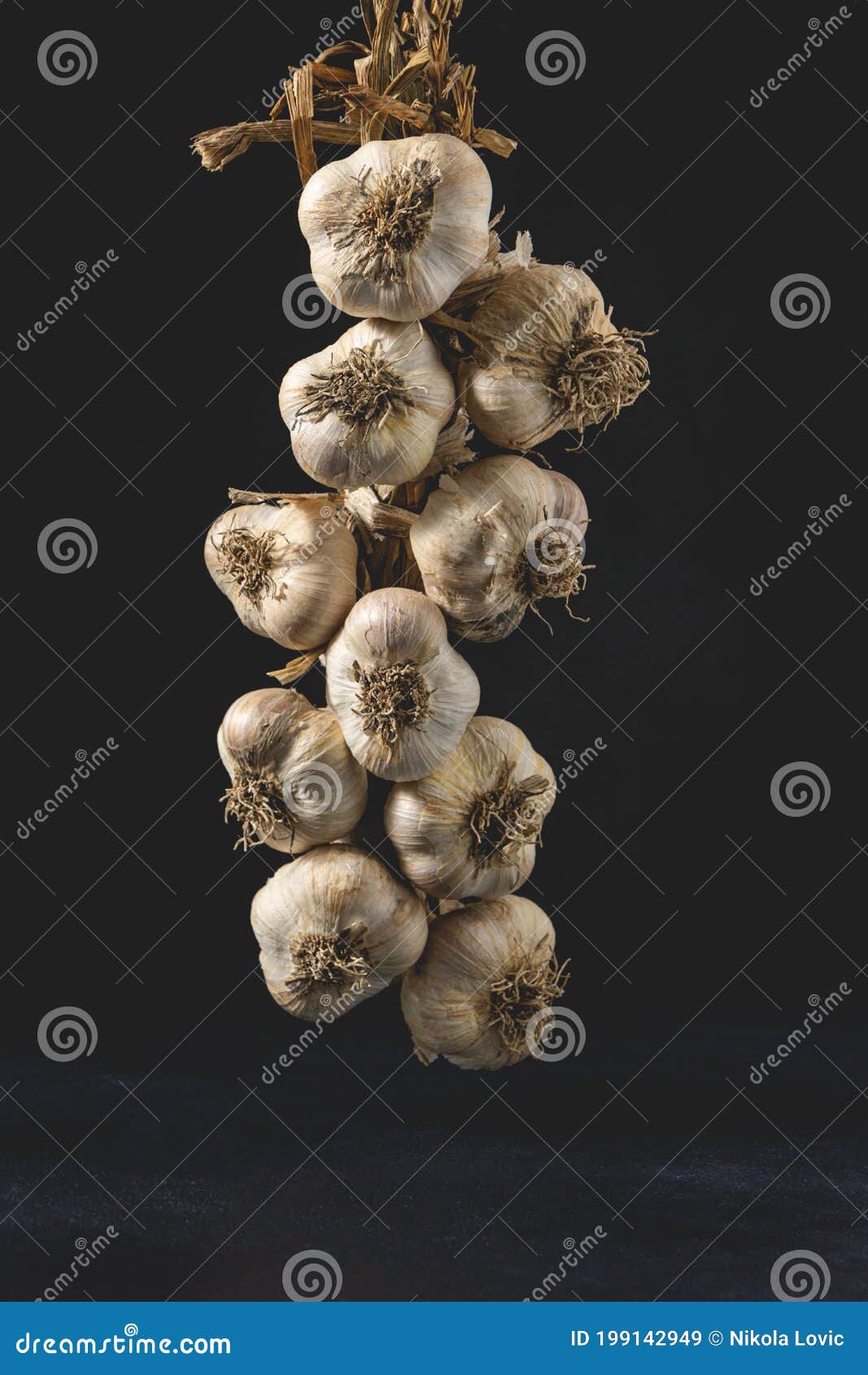 String of Garlic Bulbs Isolated on a Dark Background. Close-up View ...
