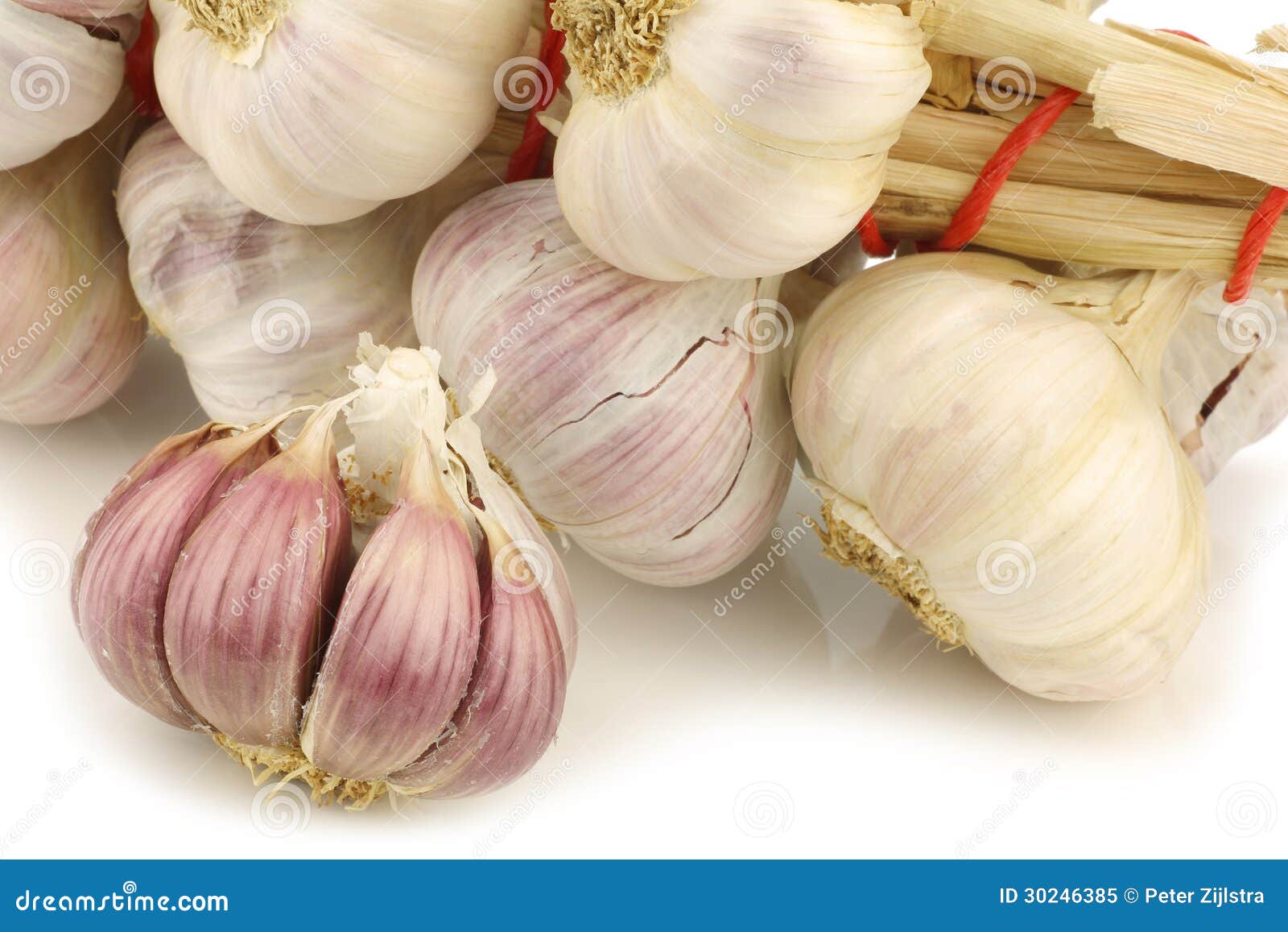 String of garlic bulbs stock image. Image of scented - 30246385