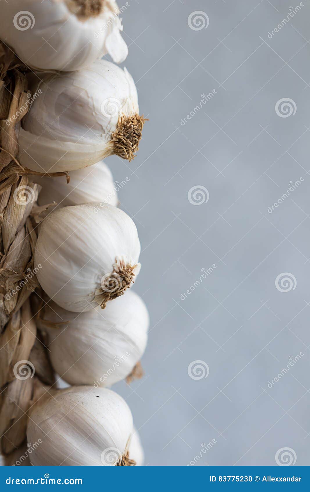 String of garlic stock photo. Image of cooking, bulbs - 83775230
