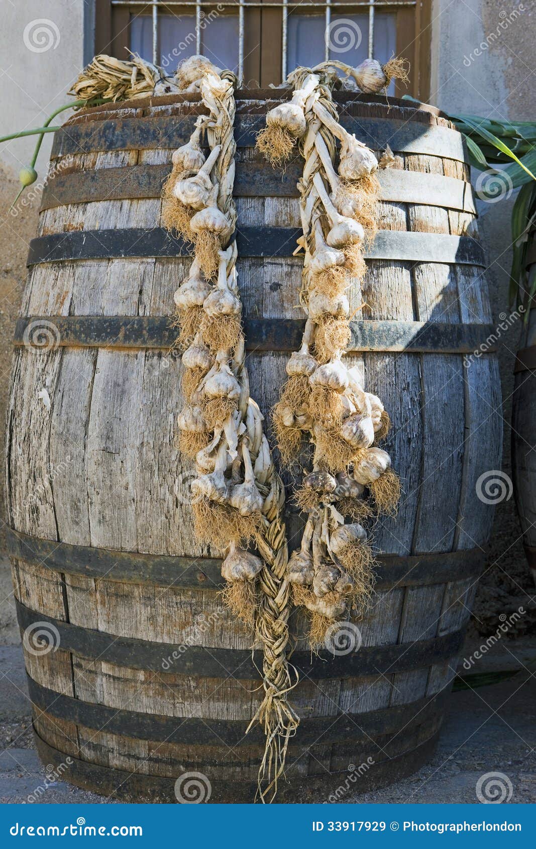 String of Garlic Hanging from Cask Stock Image - Image of garlic, clove ...