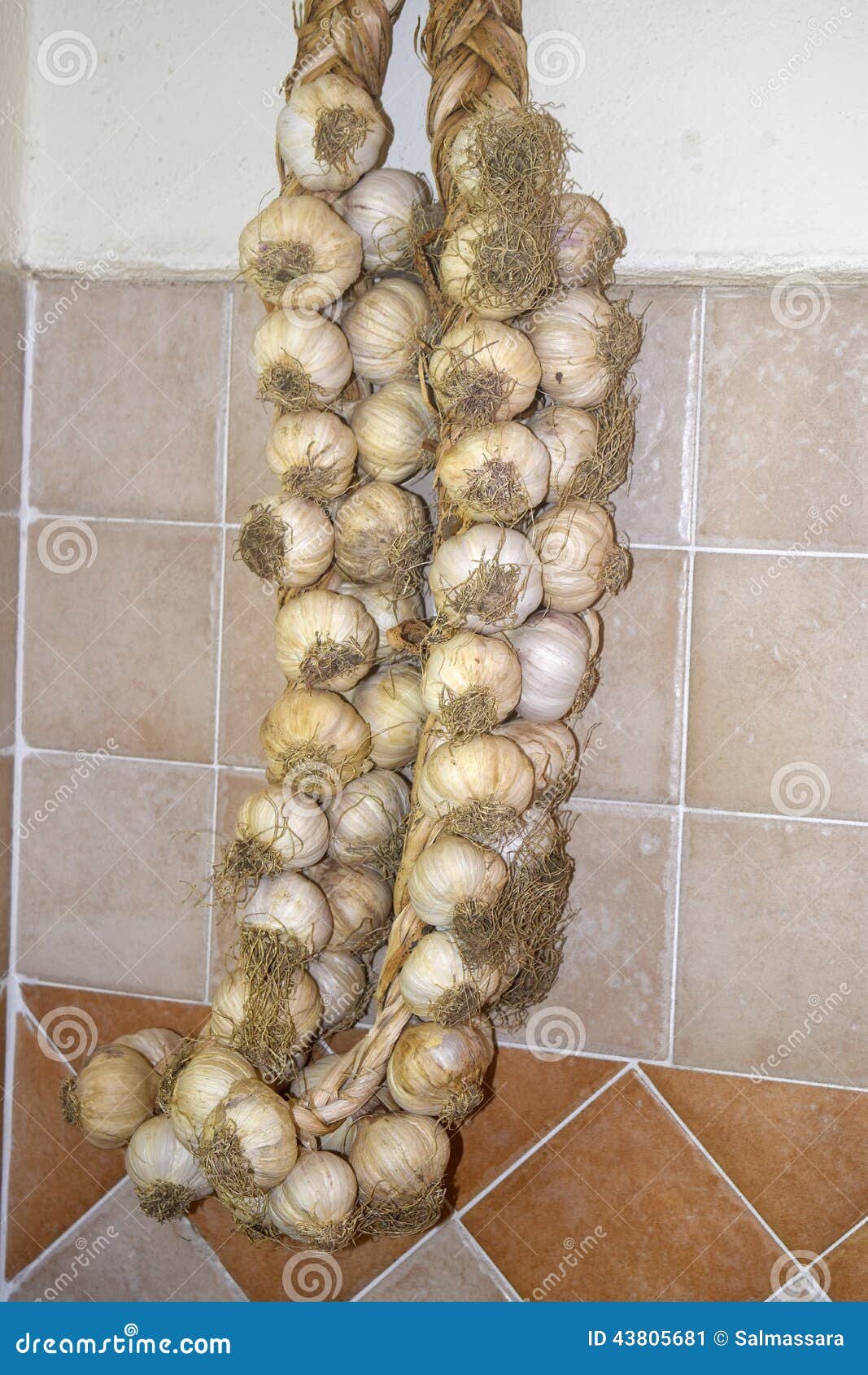 String of garlic stock image. Image of condiment, isolated - 43805681