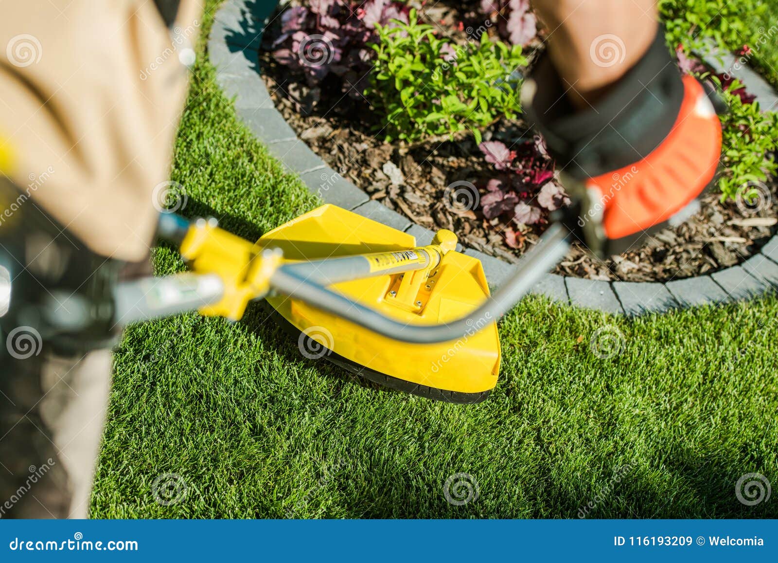 String Grass Trimming stock image. Image of caucasian - 116193209