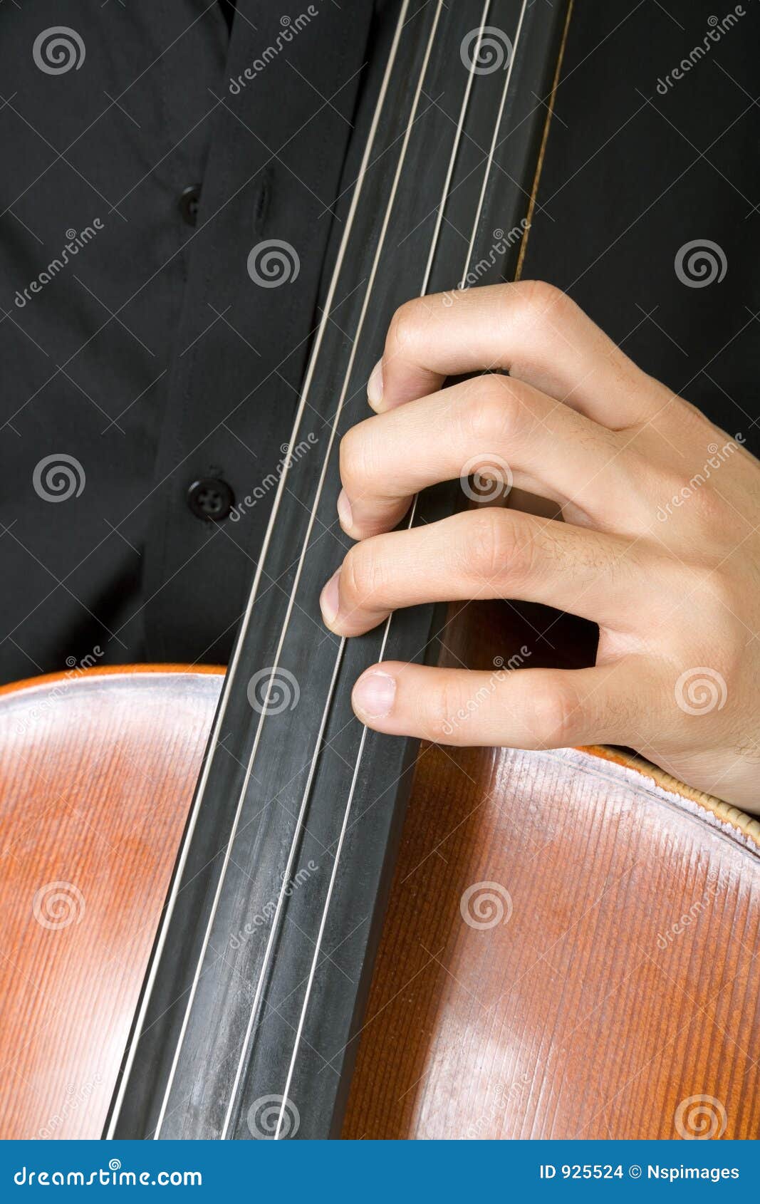 String instrument stock photo. Image of musical, classic - 925524