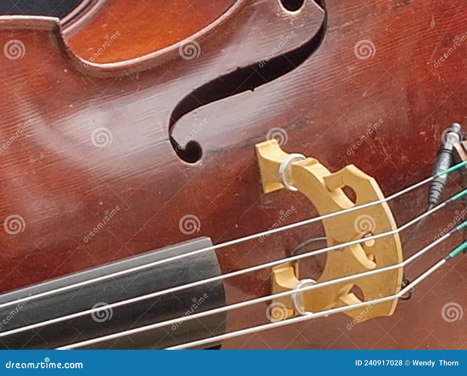 String Instrument Close Up Rich Dark Wood Stock Photo - Image of ...
