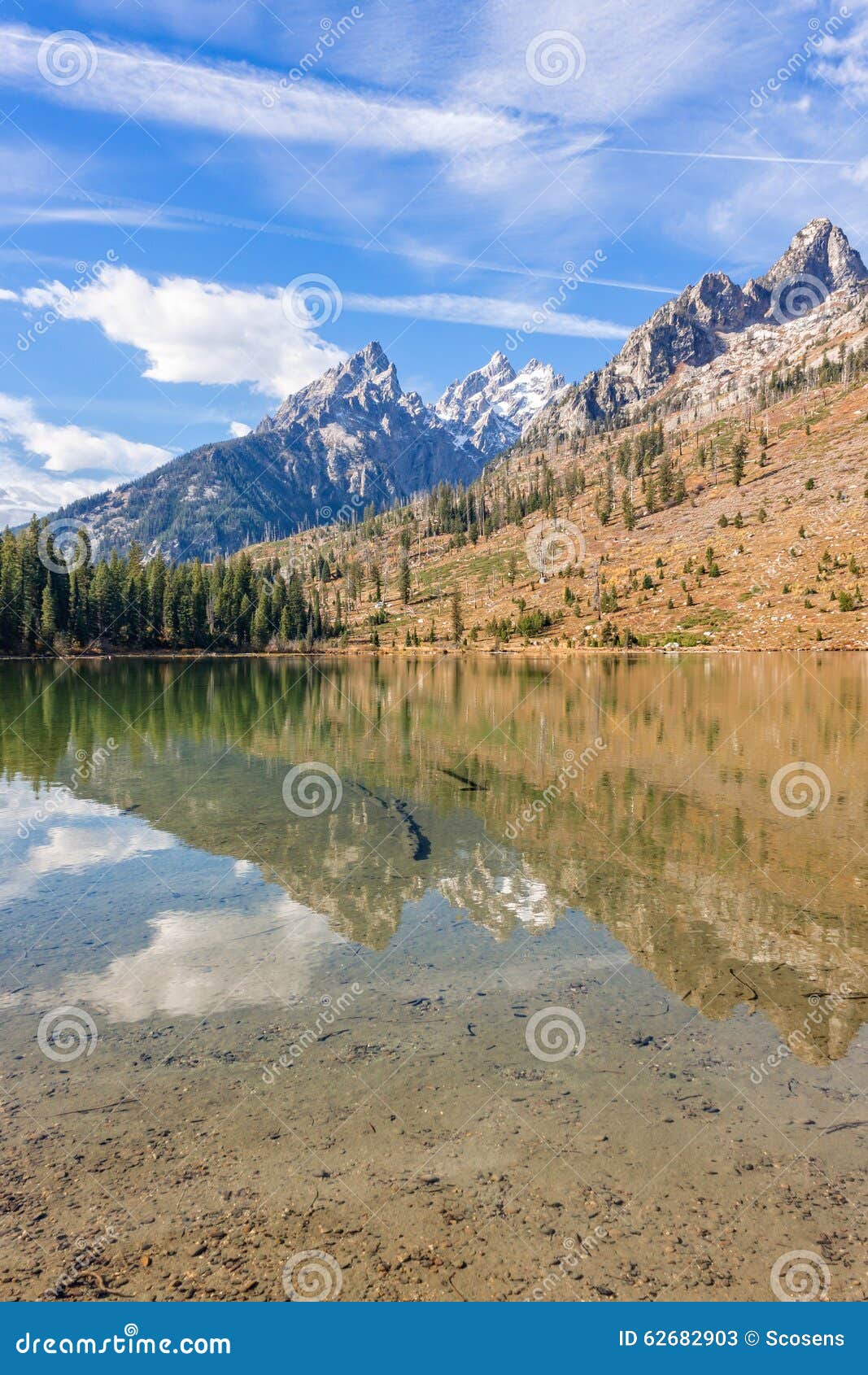 String Lake Fall Landscape Reflection Stock Image - Image of teton ...