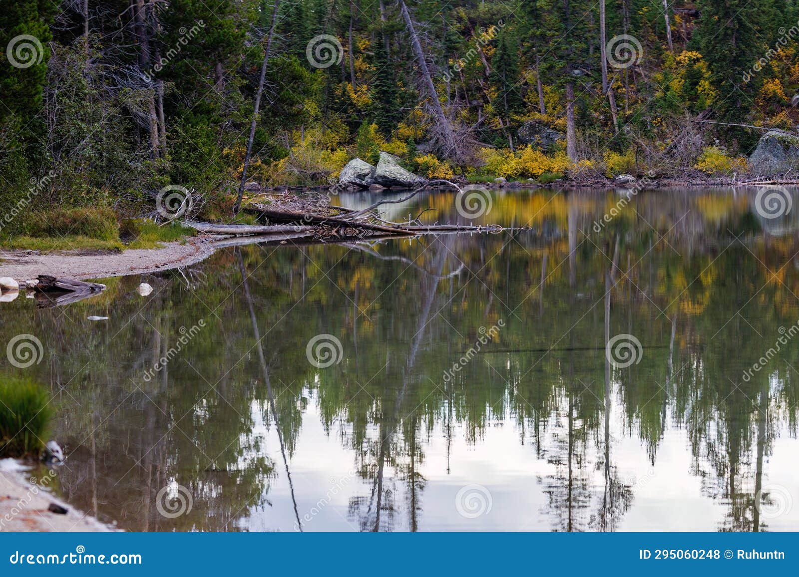 String Lake stock photo. Image of water, teton, autumn - 295060248
