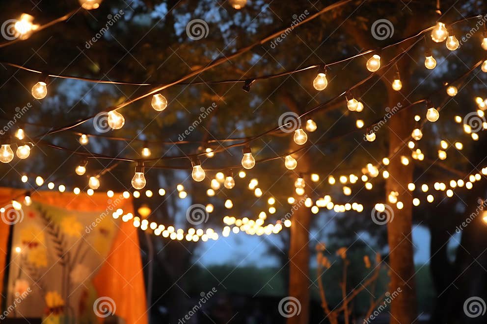 String Lights Draped through Tree Branches at Night Stock Photo - Image ...
