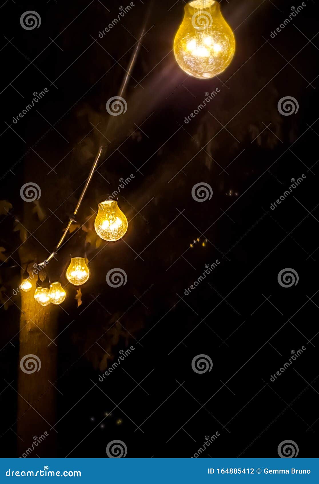 String Lights through the Forest Stock Photo - Image of porch, party ...