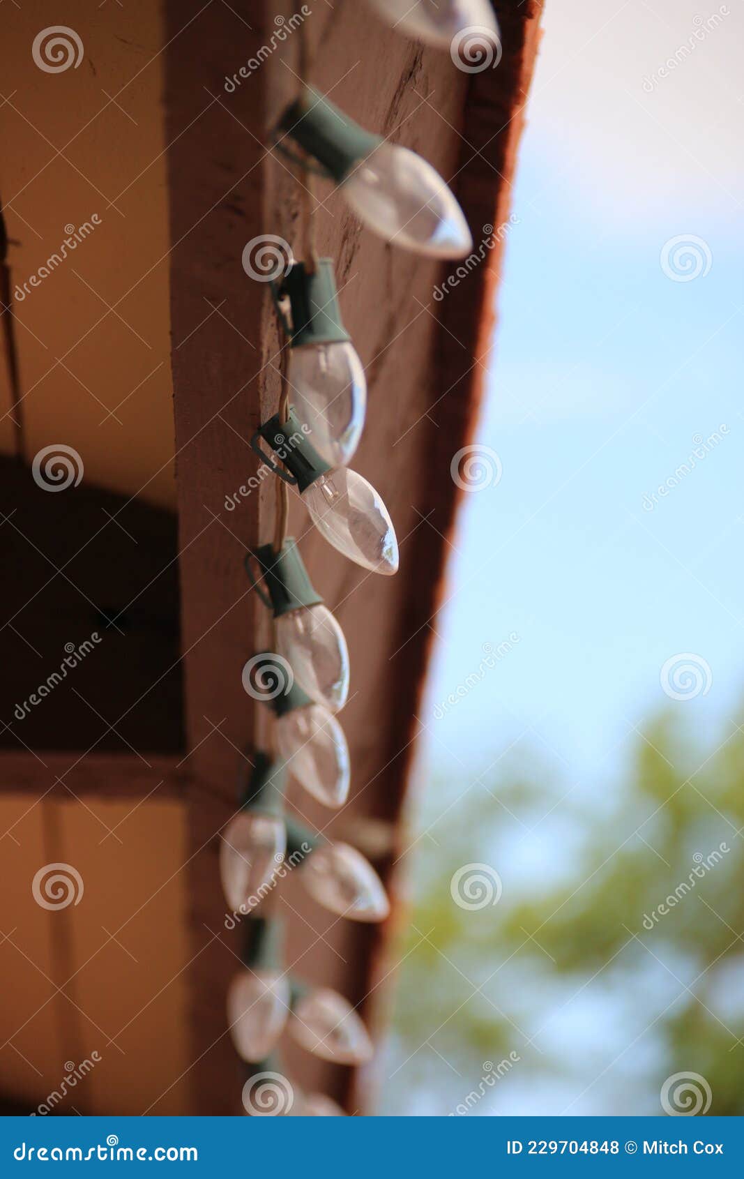 String of Lights stock photo. Image of white, light - 229704848