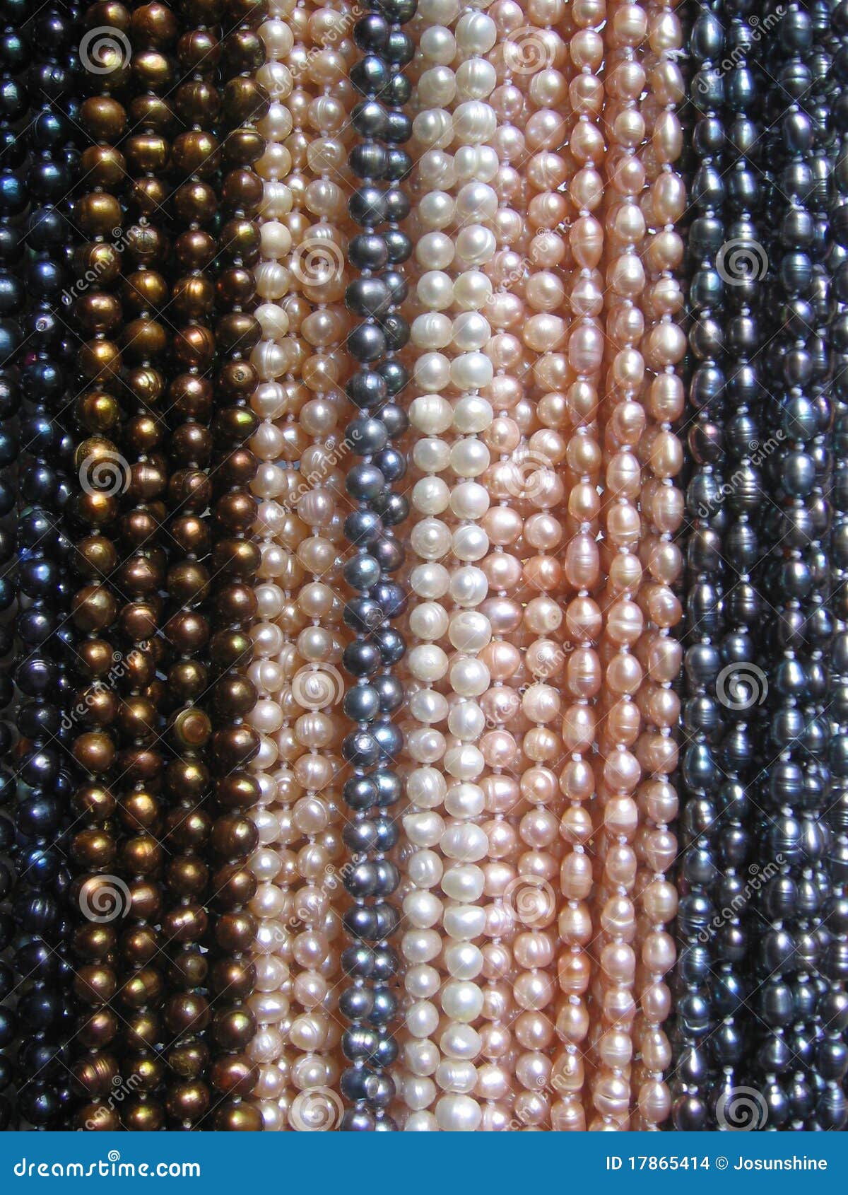 String of Pearl Necklaces stock photo. Image of strand - 17865414