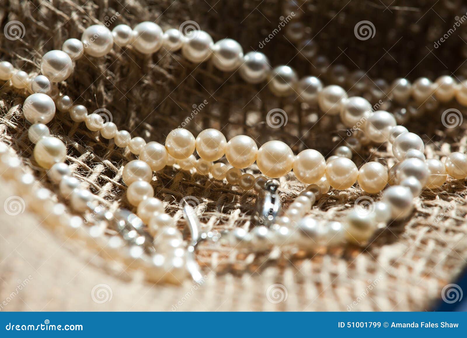 String of pearls stock image. Image of life, ivory, necklace - 51001799