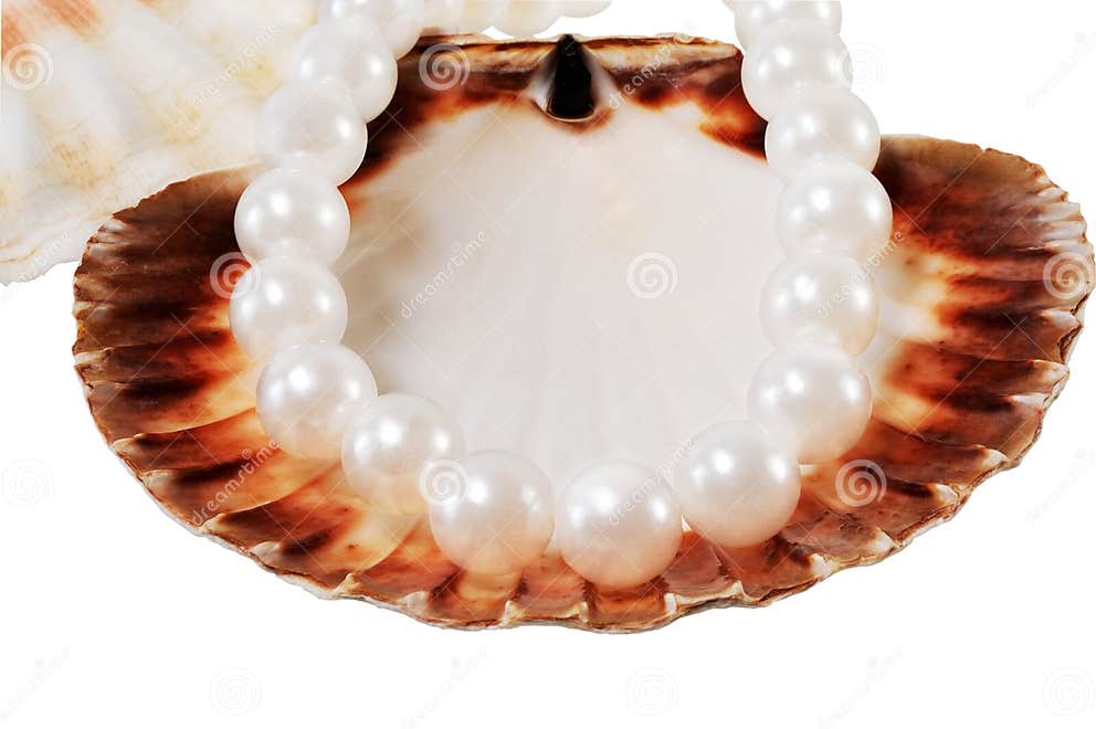 String of Pearls in the Sea Shell Stock Photo - Image of sink, stones ...