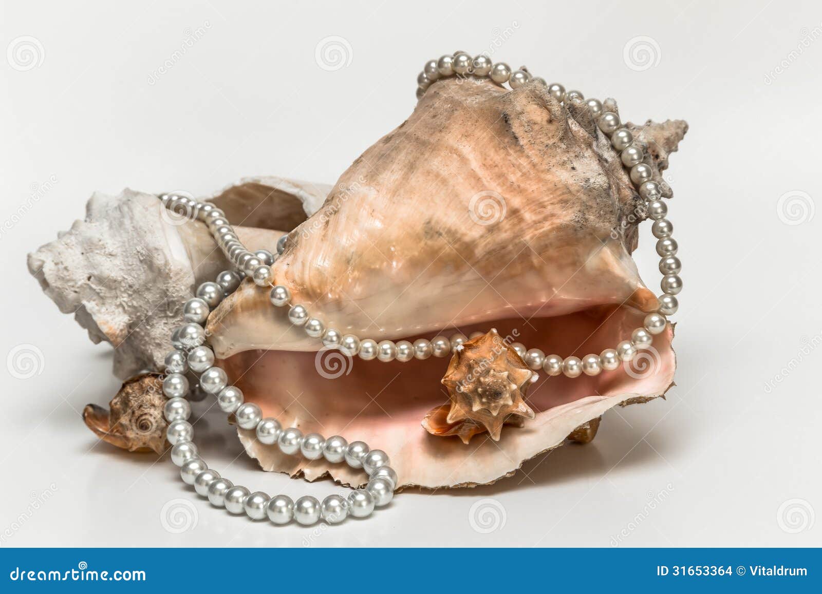 String of Pearls Thrown Over the Sea Shells Stock Photo - Image of pink ...