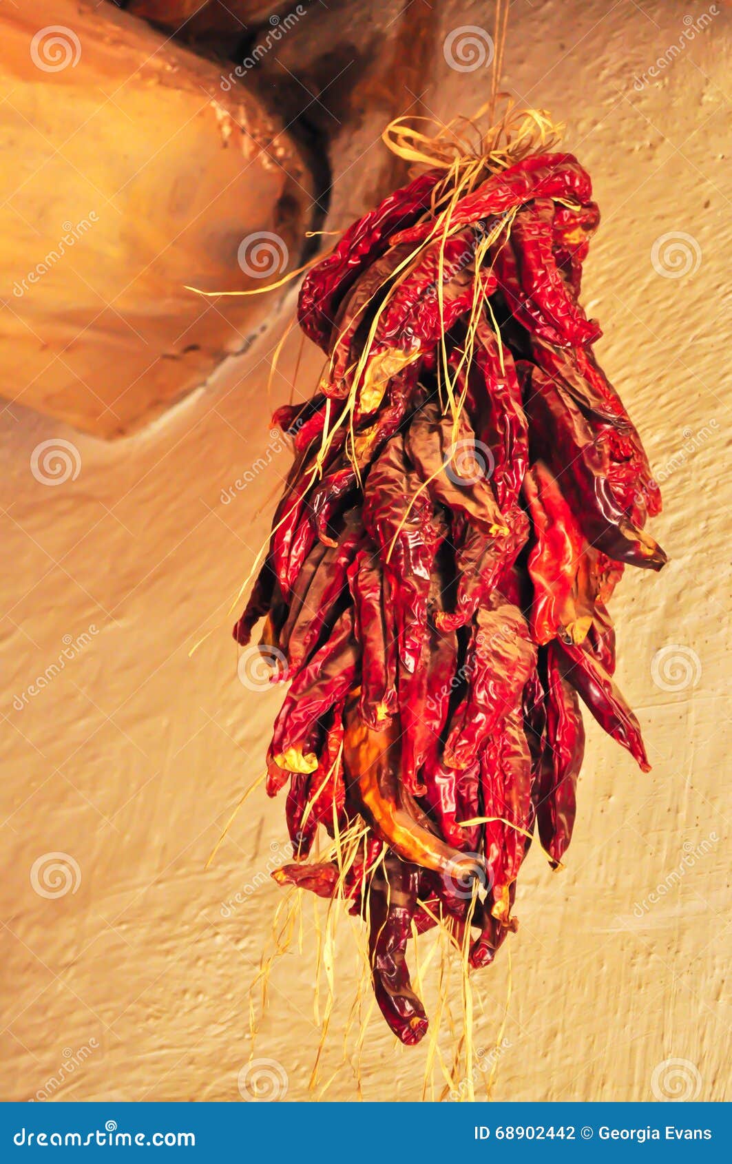 String of Red Chili Peppers Stock Photo - Image of string, decor: 68902442