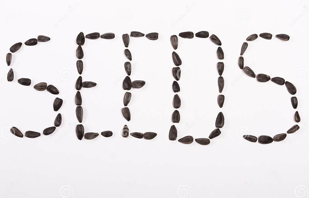 String SEEDS stock photo. Image of seed, grain, food - 14869634