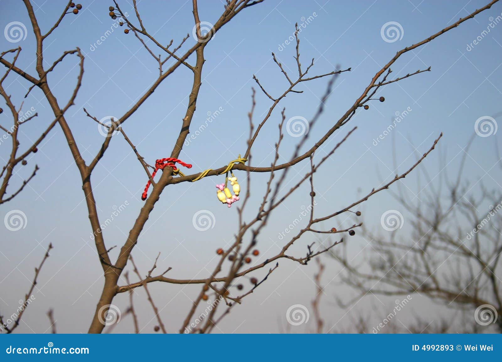 String on tree branches stock image. Image of trees, outside - 4992893