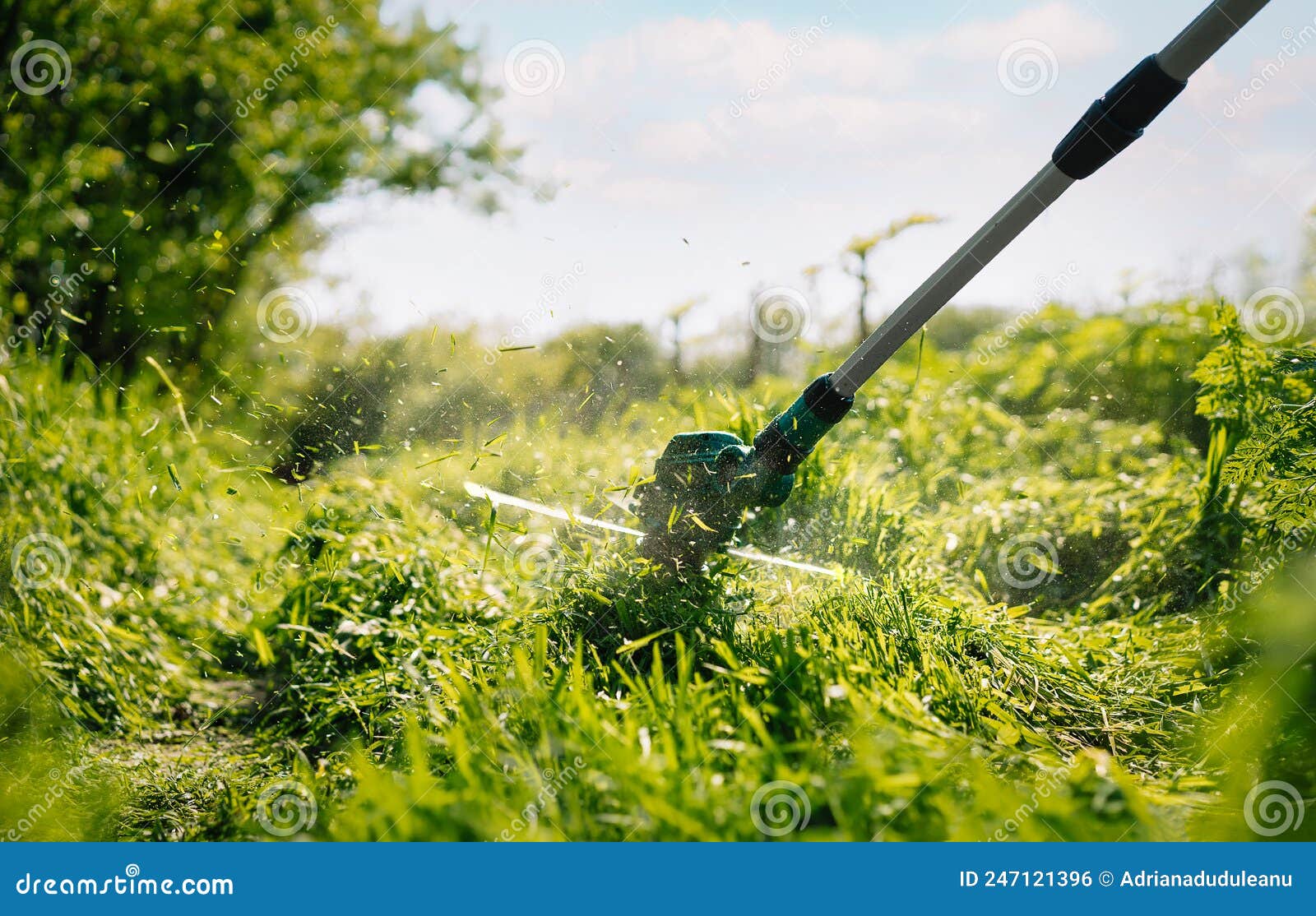String Trimmer Cutting Grass in the Garden Stock Photo - Image of ...