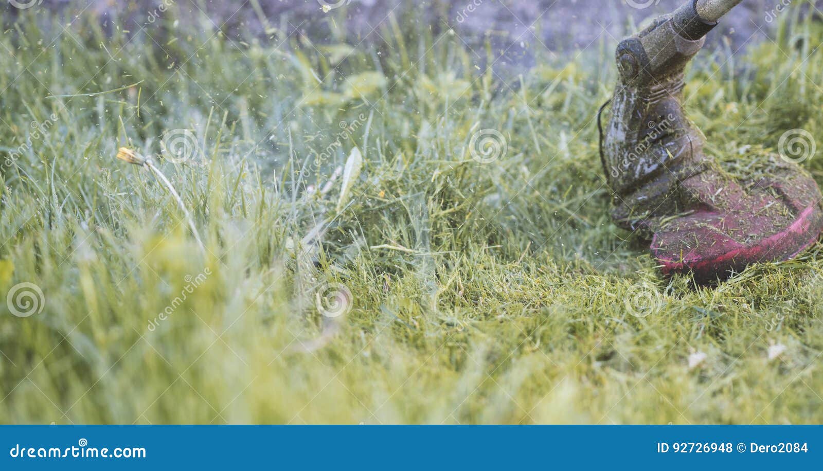 String Trimmer Mowing the Grass, Grass Particles Flying Around Stock ...