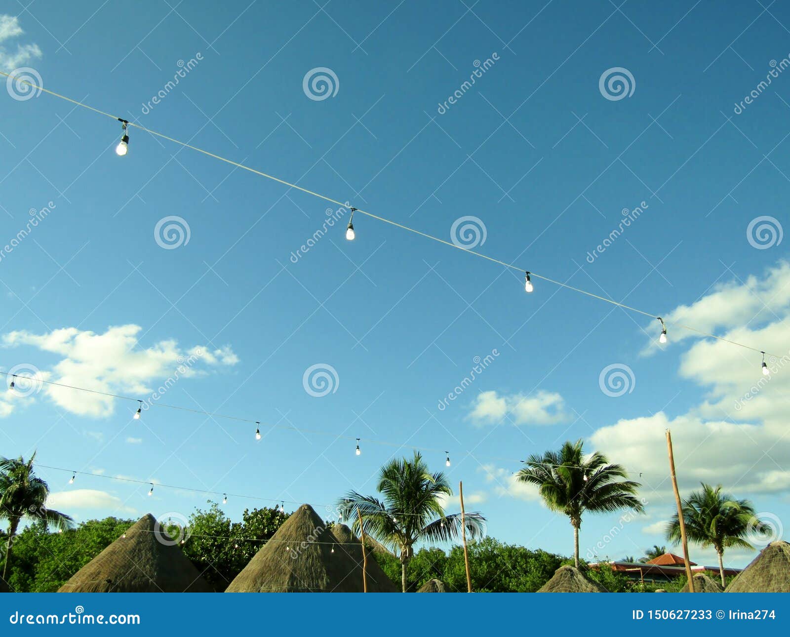 String of Vintage Light Bulbs in Mexican Beach Garden Stock Image ...