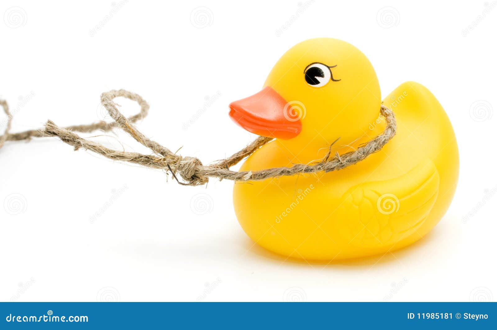 Duck And Noose Stock Photography | CartoonDealer.com #12141374