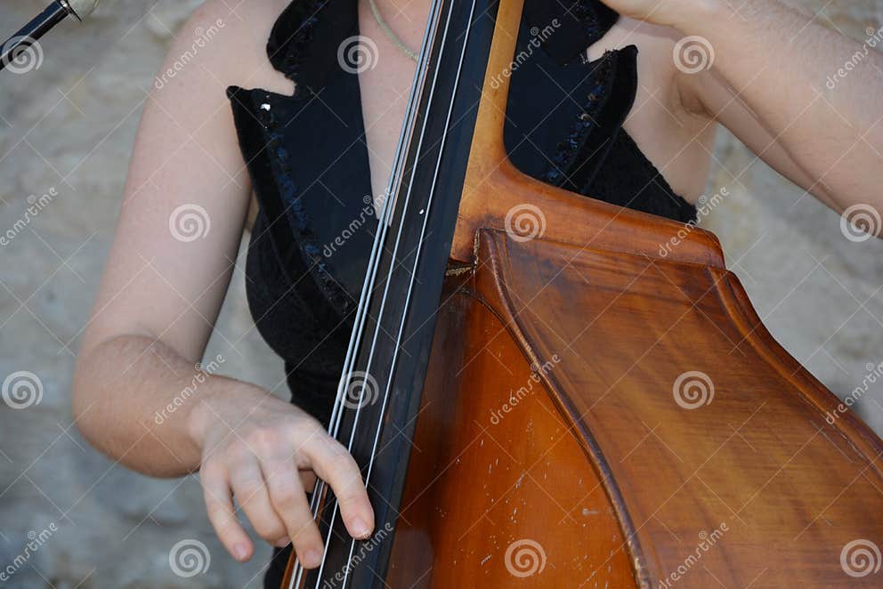 A Stringed Music Instrument Stock Photo - Image of hands, string: 113129040