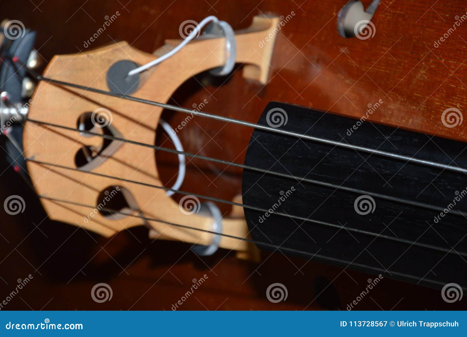 A Stringed Music Instrument Zoom on a Double Bas Stock Image - Image of ...