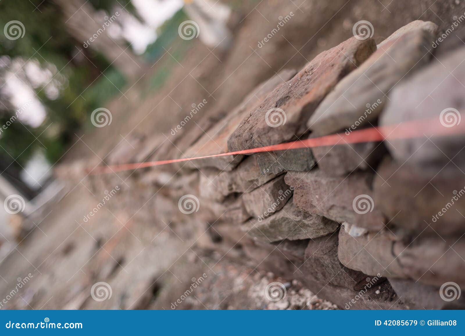 Stringline in the garden stock image. Image of measuring - 42085679