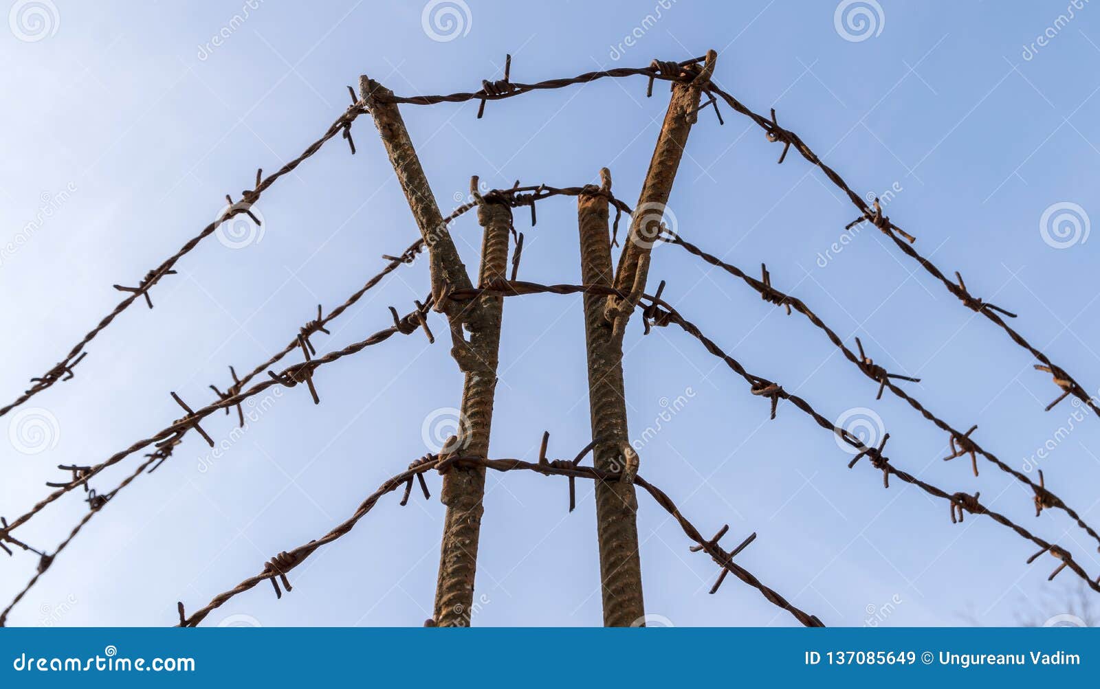 Strings of Barbed Wire, As a Defence Mechanism and Safeguard Stock ...