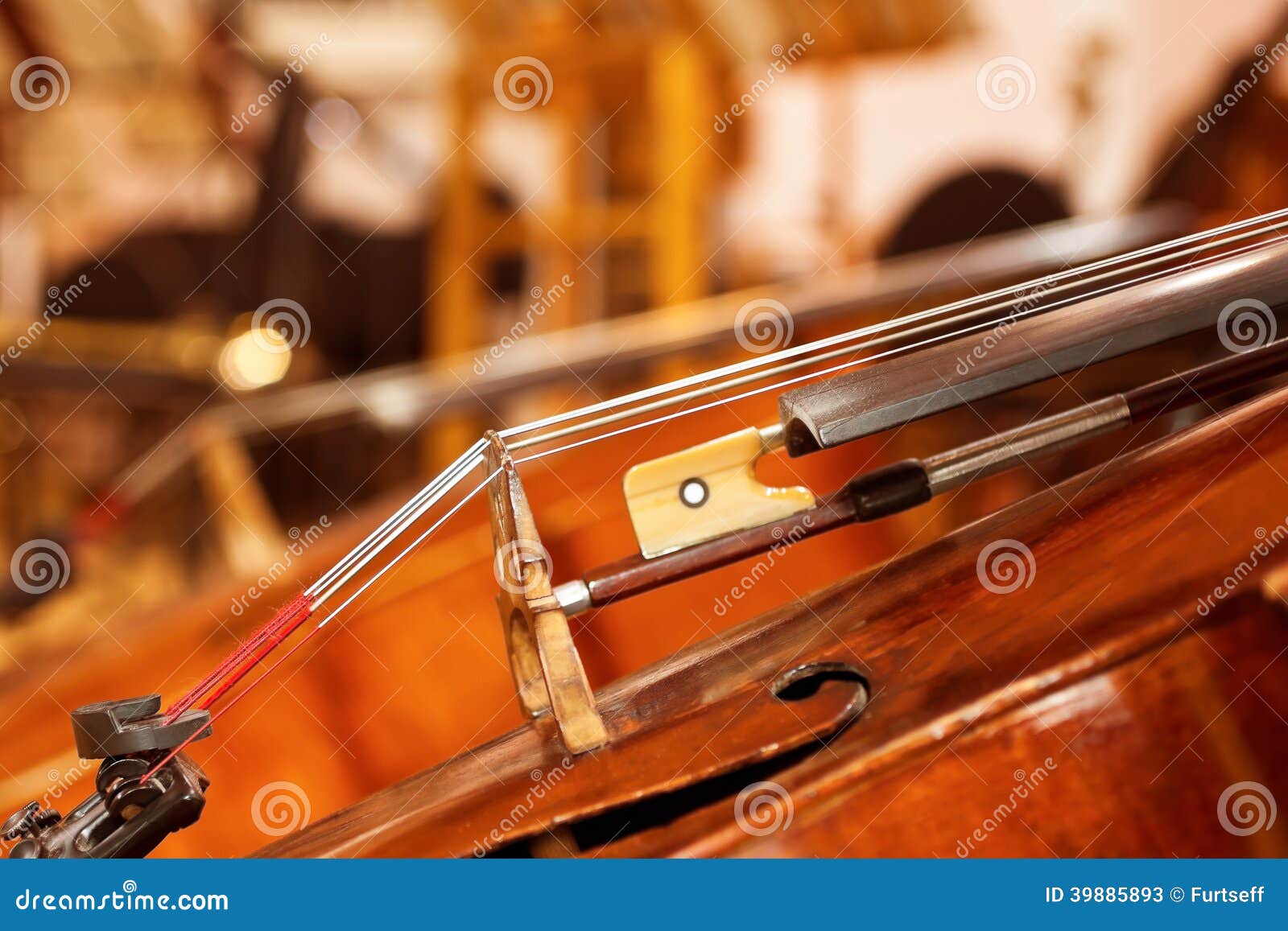 Strings Cello closeup stock image. Image of classic, italian - 39885893