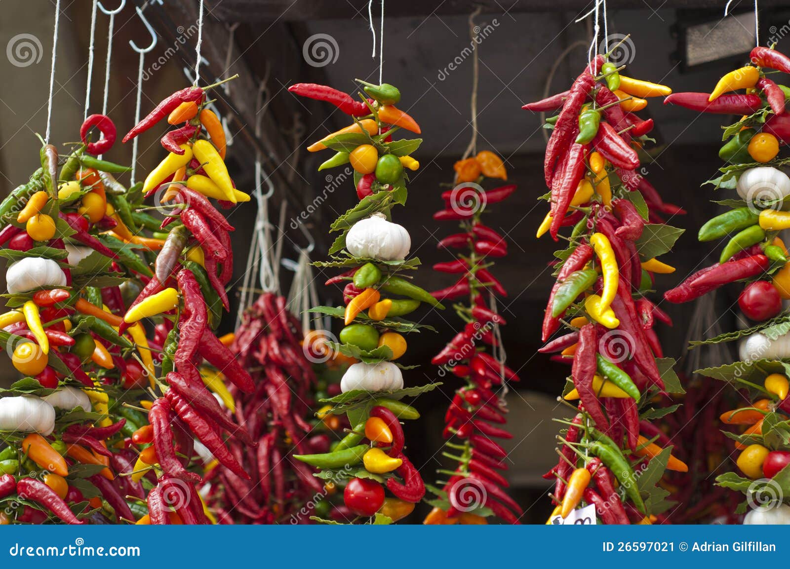 Strings of Chillies and Garlic Stock Image - Image of chillies, five ...