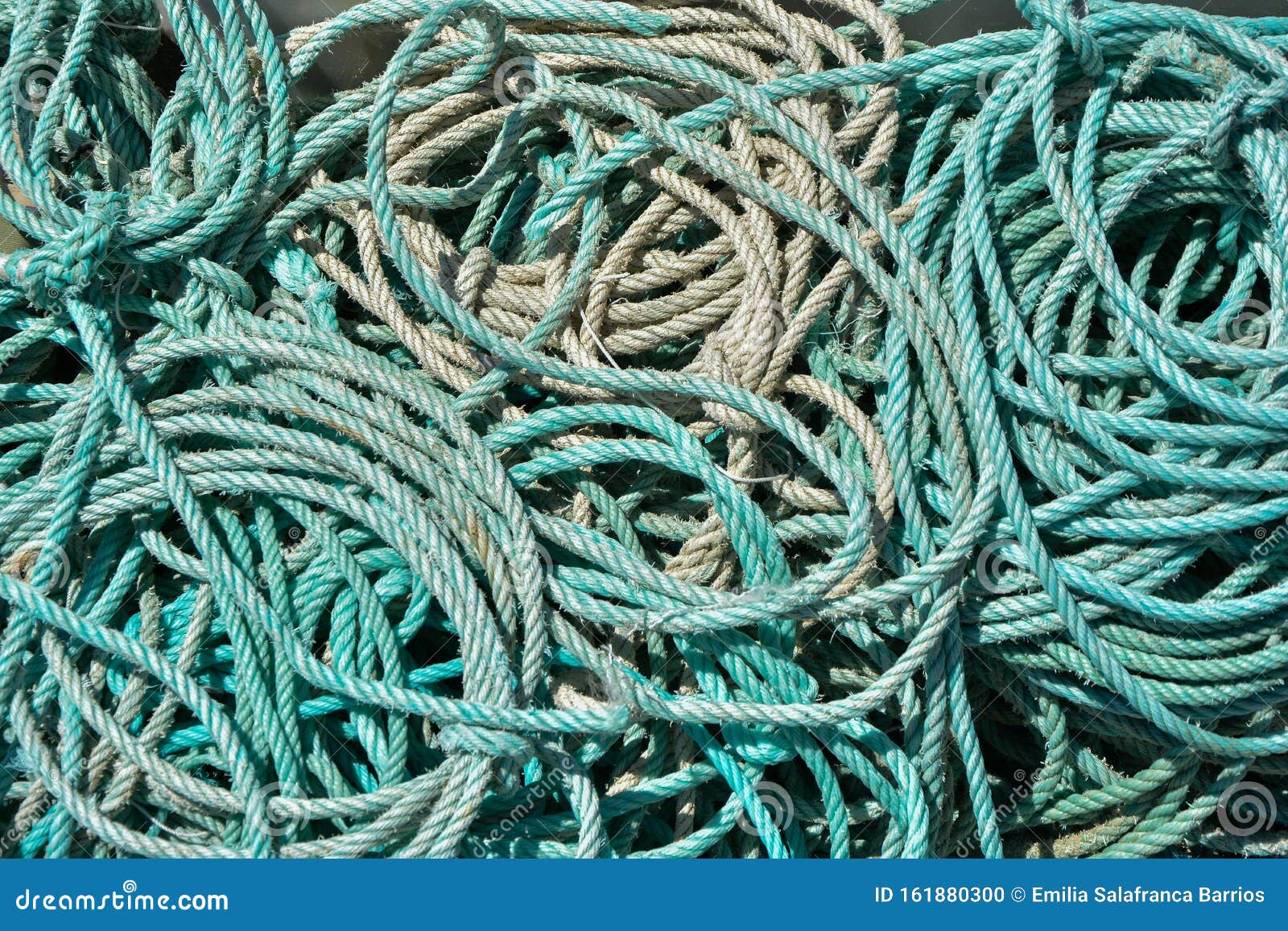 Strings in Different Shades of Green and Beige Stock Photo - Image of ...