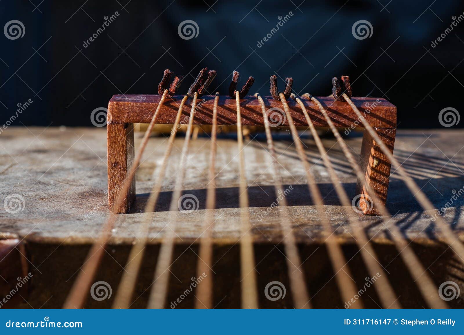 Strings from nature stock image. Image of leaves, begena - 311716147