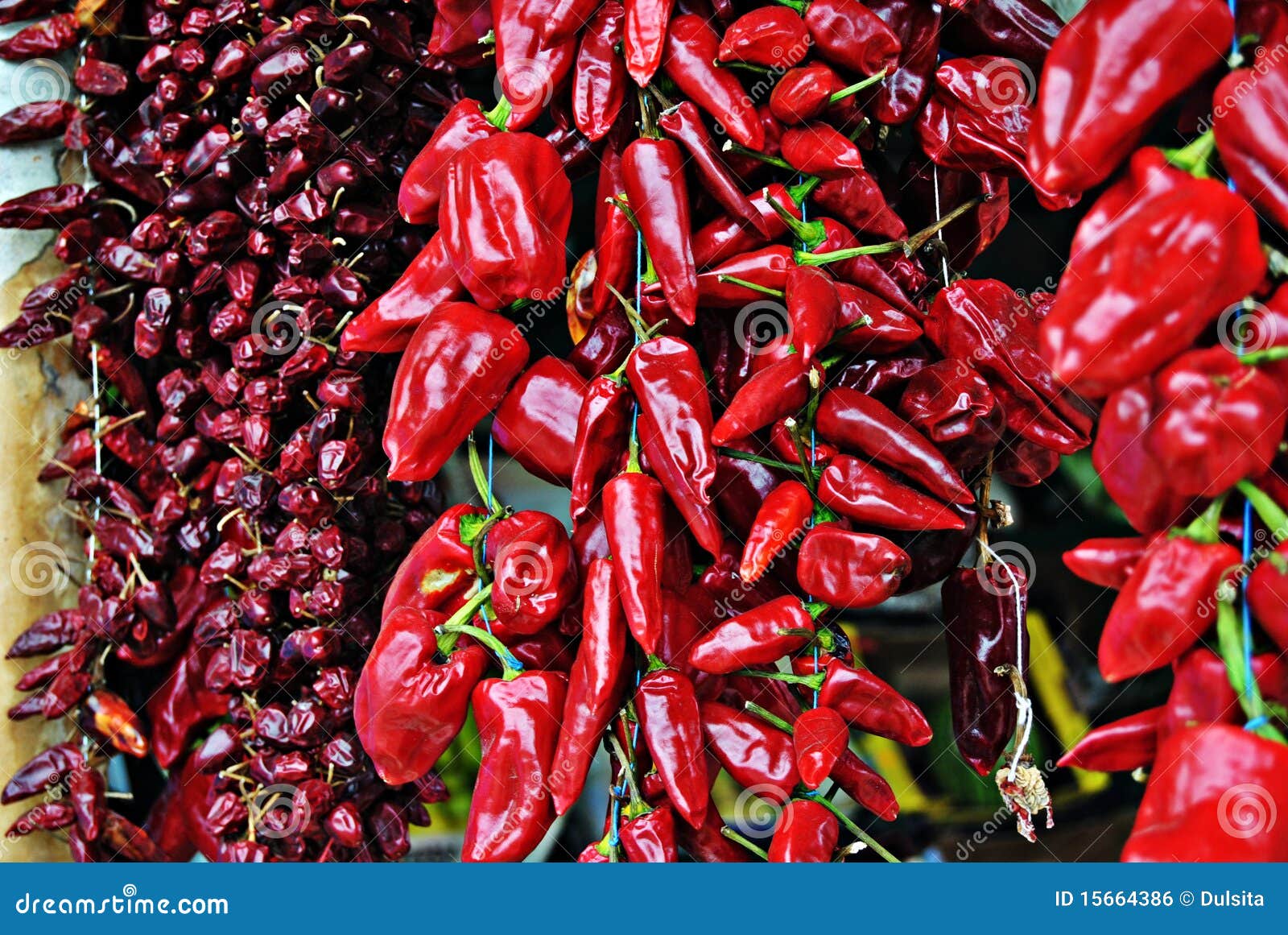 Strings of peppers stock photo. Image of nutrition, grouped - 15664386
