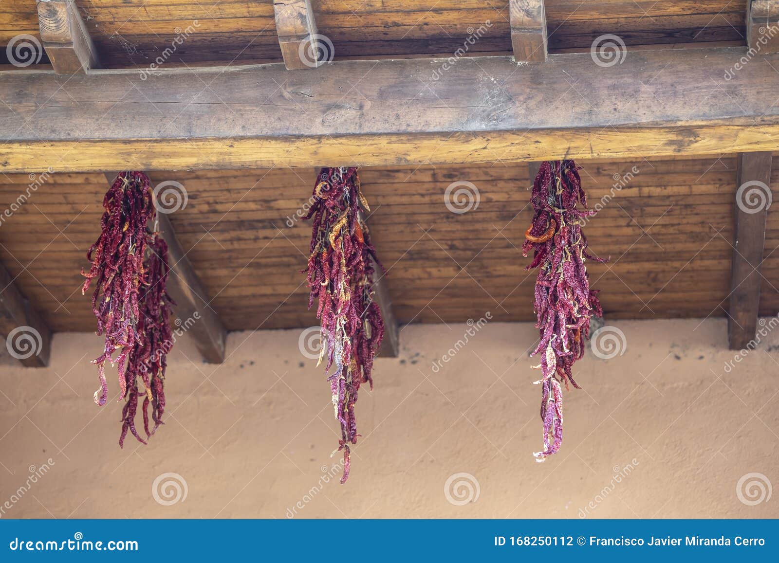 Strings of Peppers Drying Outdoors Stock Photo - Image of pepper ...