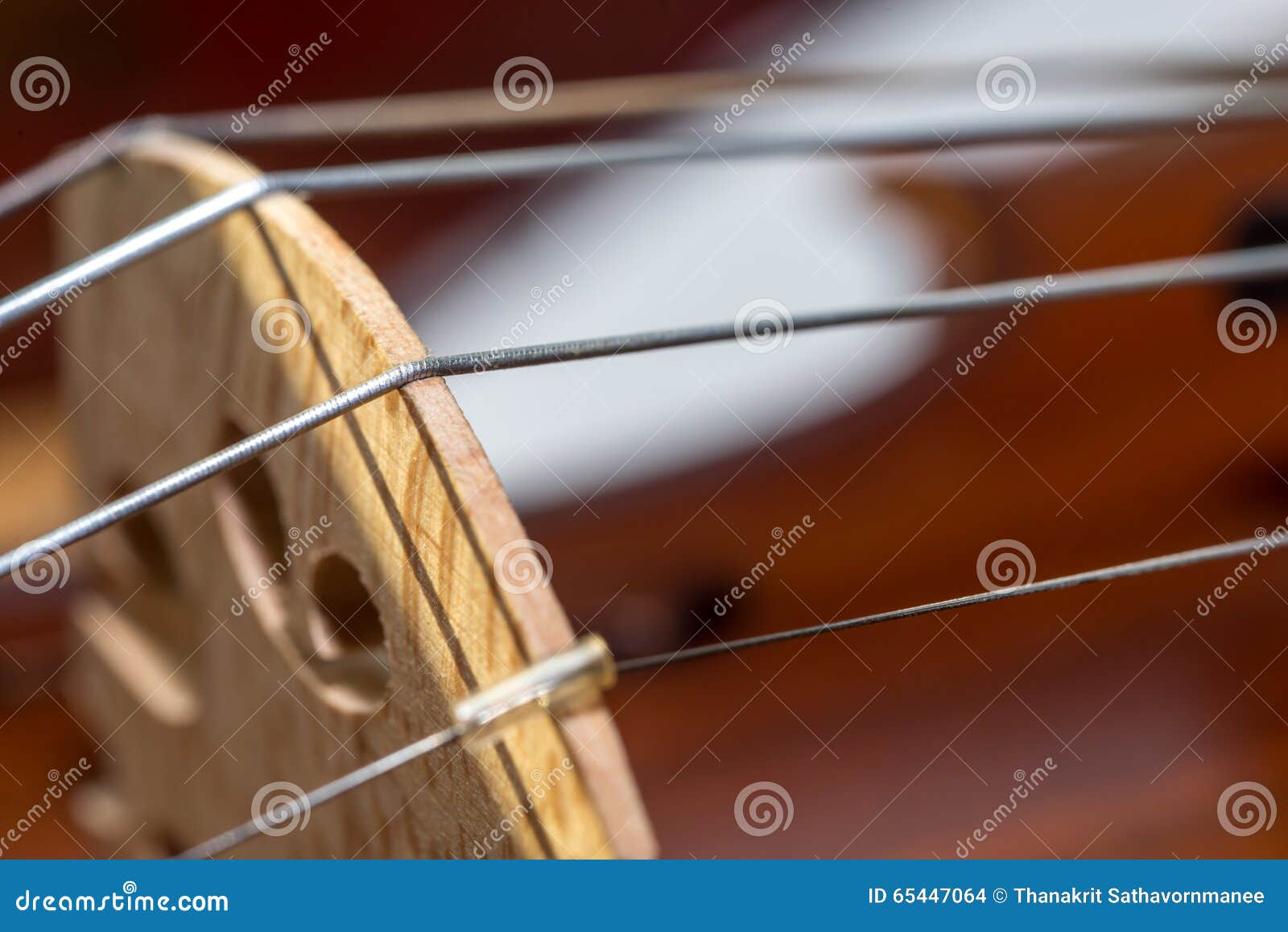 The Strings of a Violin stock photo. Image of brown, instrument - 65447064