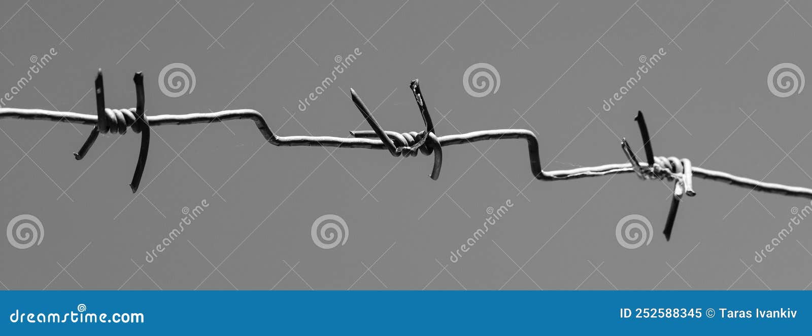 A Strip of Barbed Cold Wire on a Perishable Blue Sky. Barbed Wire Fence ...