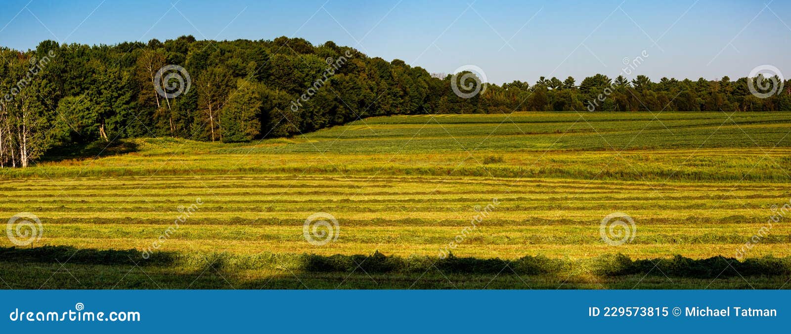 Strip Cropping on a Wisconsin Farm Field in August Stock Image - Image ...