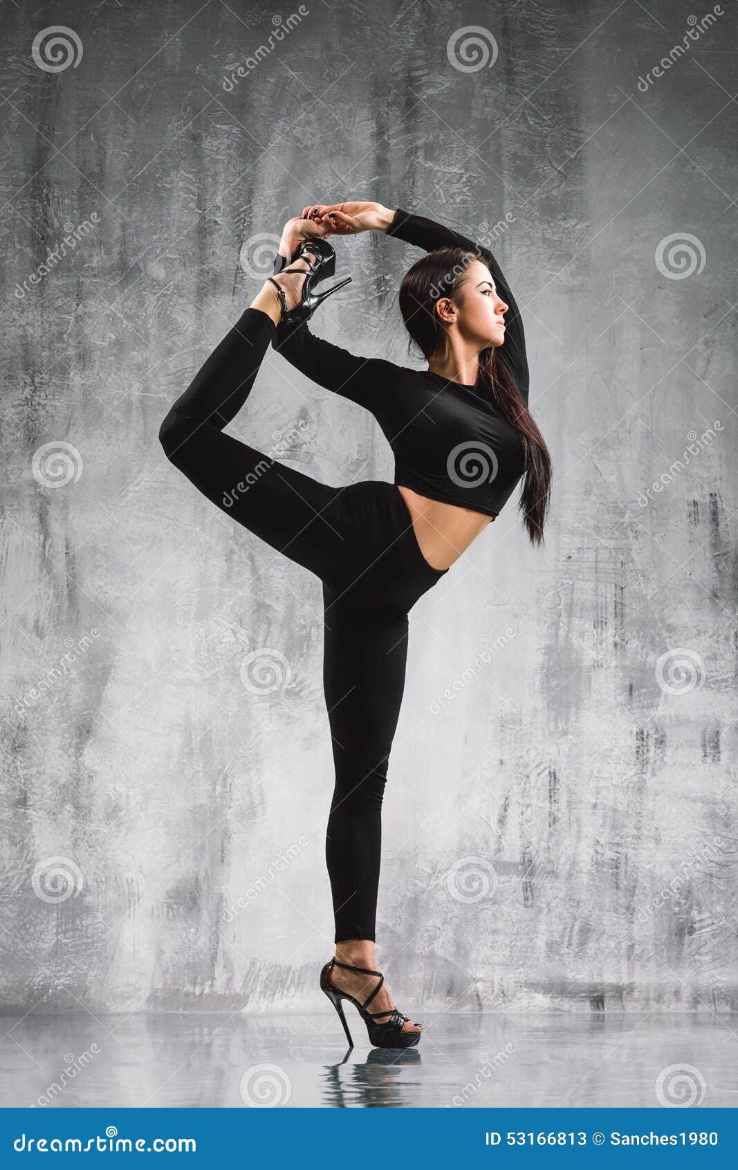 Strip dancer stock image. Image of human, dancer, cool - 53166813