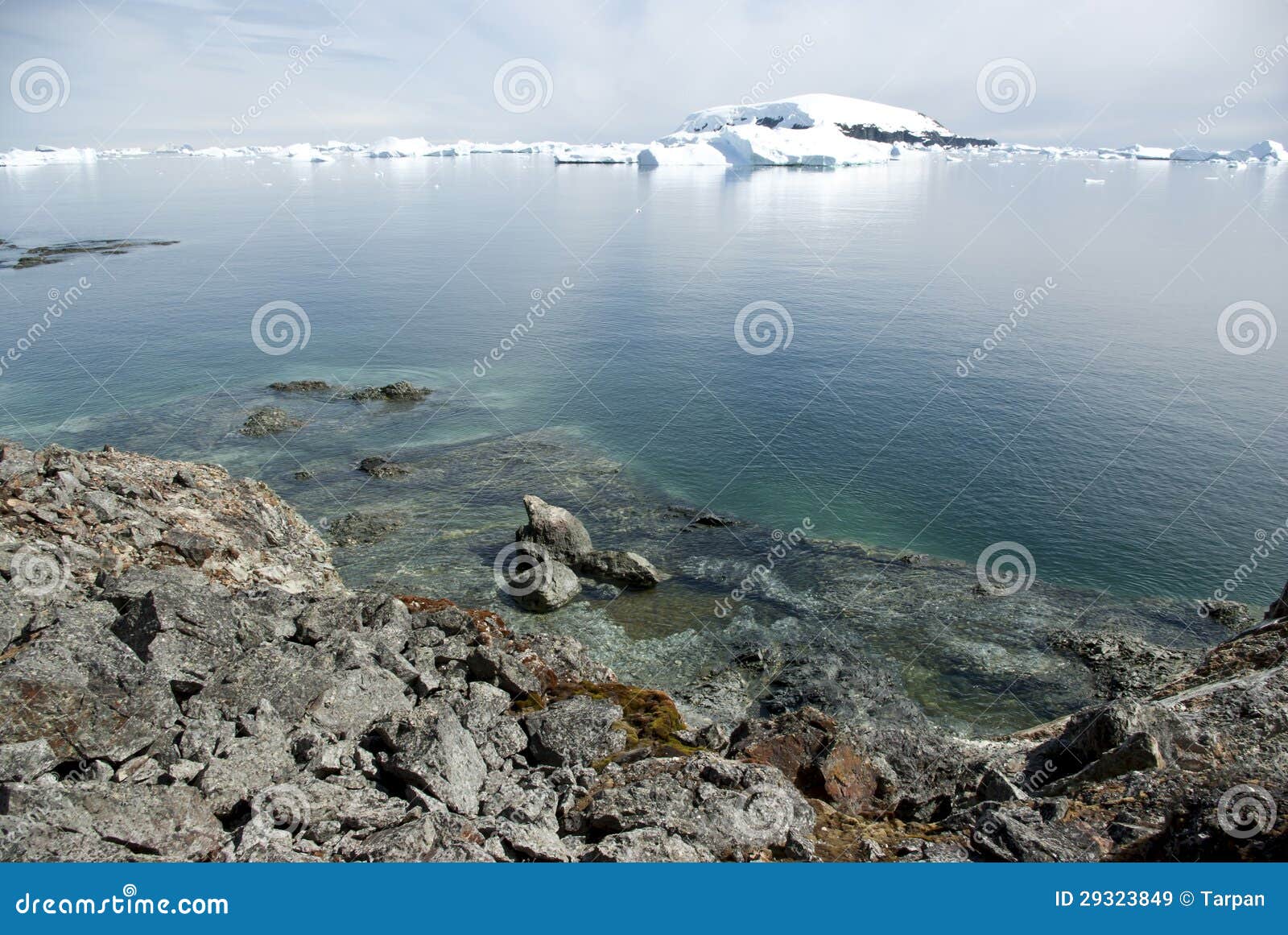Strip Tide when the Tide Antarctic Summer. Stock Image - Image of ...