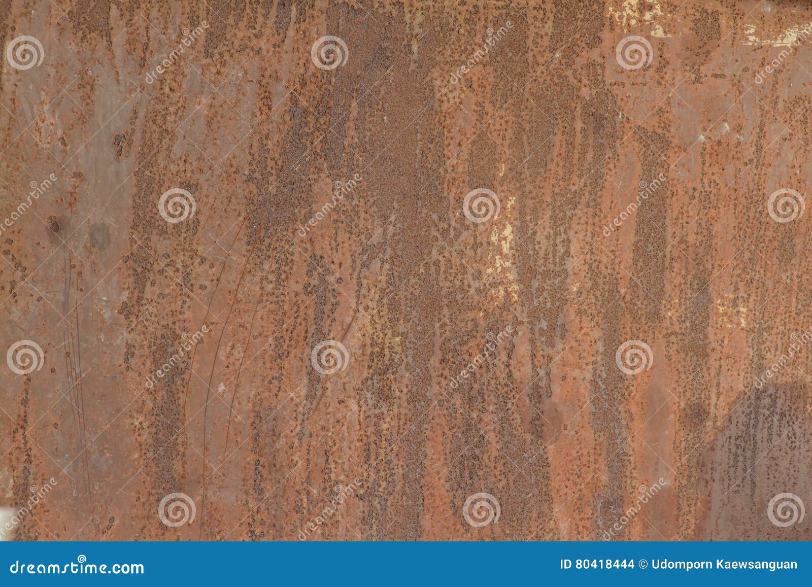 Stripe rust stock photo. Image of adornment, wallpaper - 80418444